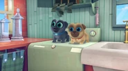 Rolly | Disney Wiki | Fandom
