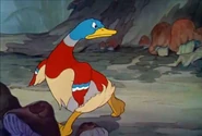 Father Duck/Gallery | Disney Wiki | Fandom