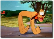 Orville the Baby Bird | Disney Wiki | Fandom