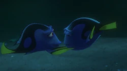 Finding Dory Jenny