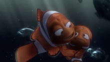 Nemo/Relationships | Disney Wiki | Fandom