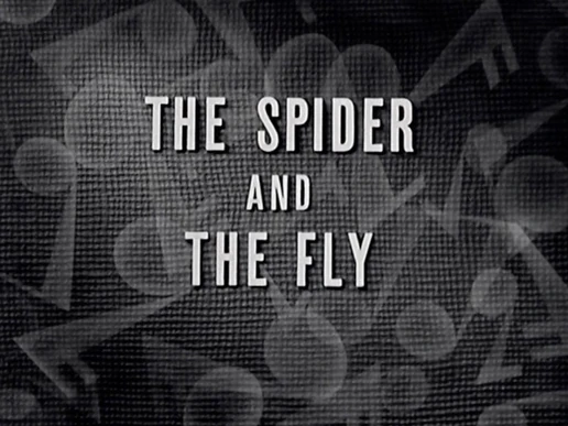 The Spider and the Fly | Disney Wiki | Fandom