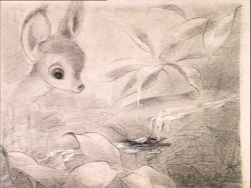 Raindrops | Disney Wiki | Fandom