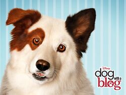 Dog with a Blog | Disney Wiki | Fandom