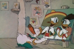 Don Donald