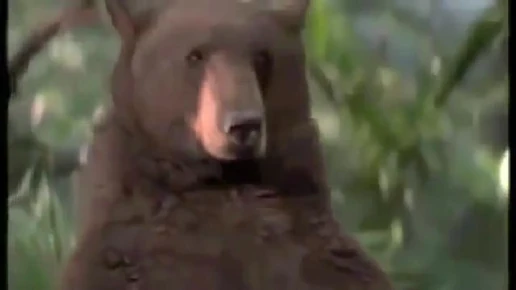 Baloo | Disney Wiki | Fandom