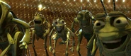 Grasshoppers | Disney Wiki | Fandom