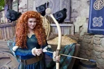 Merida's Bow | Disney Wiki | Fandom