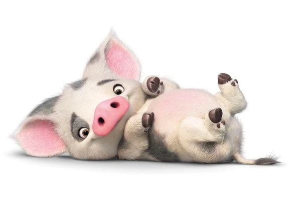 Pua (Moana) | Disney Wiki | Fandom