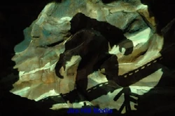 Expedition Everest Yeti Shadow