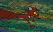 Fox | Disney Wiki | Fandom