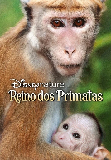 O Reino dos Primatas | Disney Wiki | Fandom