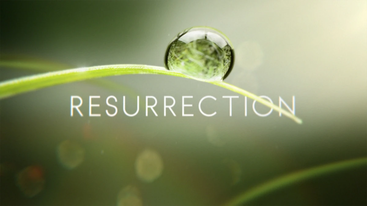 Resurrection | Disney Wiki | Fandom