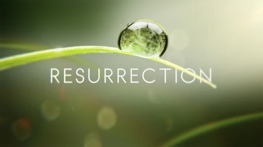 Resurrection | Disney Wiki | Fandom