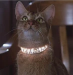 The Cat from Outer Space | Disney Wiki | Fandom