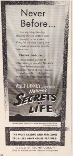 disney secrets documentary