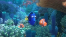 Nemo/Relationships | Disney Wiki | Fandom