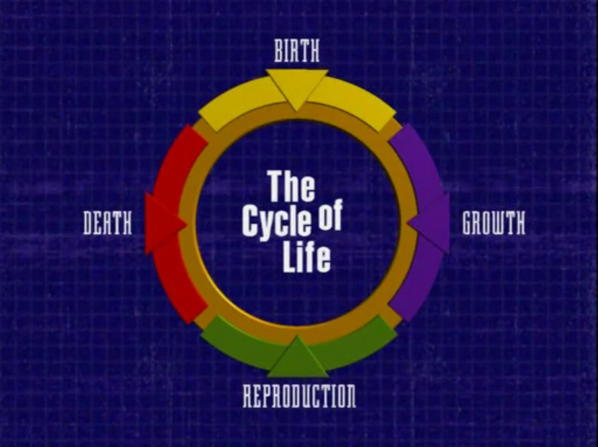 Life Cycles | Disney Wiki | Fandom