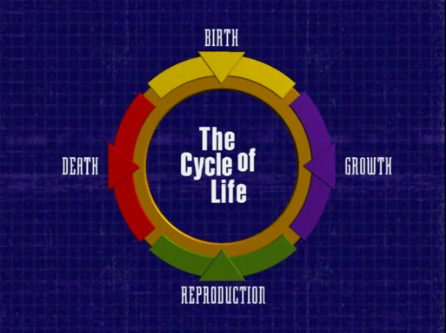 Life Cycles | Disney Wiki | Fandom