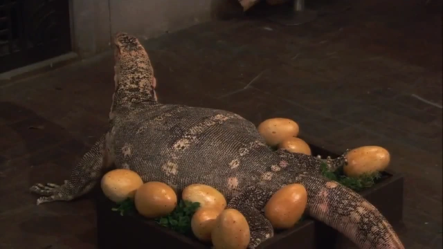 The Secret Life of Mr. Kipling | Disney Wiki | Fandom