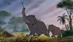 Colonel Hathi/Gallery | Disney Wiki | Fandom