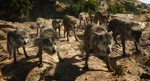 Akela | Disney Wiki | Fandom
