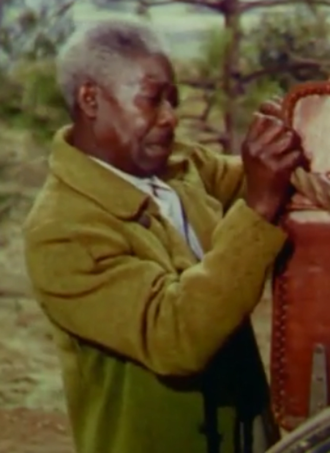 Ned | Disney Wiki | Fandom