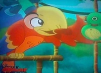 Wise Old Parrot | Disney Wiki | Fandom