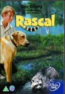 Rascal | Disney Wiki | Fandom