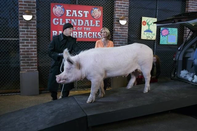 Dog with a Hog | Disney Wiki | Fandom