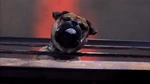 Drooler | Disney Wiki | Fandom