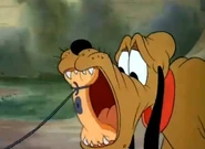 Donald's Dog Laundry | Disney Wiki | Fandom