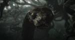Kaa (The Jungle Book 2016) | Disney Wiki | Fandom