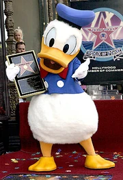 Donald Duck | Disney Wiki | Fandom