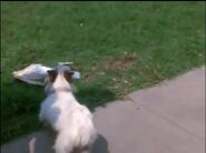 Quark | Disney Wiki | Fandom