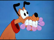 Bubble Bee | Disney Wiki | Fandom