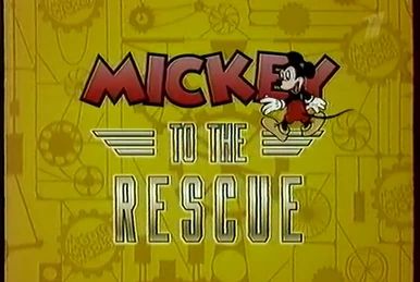 mickey mouse car washers