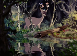 Original Disney Snow White Forest