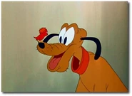 Orville the Baby Bird | Disney Wiki | Fandom