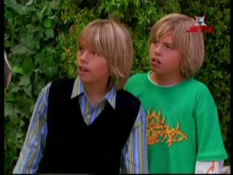 Free Tippy | Disney Wiki | Fandom