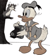 Paperino/Gallery/Fumetti | Disney Wiki | Fandom