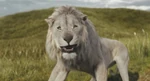 Azibo | Disney Wiki | Fandom