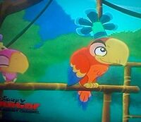 Wise Old Parrot | Disney Wiki | Fandom