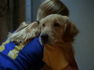 Andrea Framm | Disney Wiki | Fandom