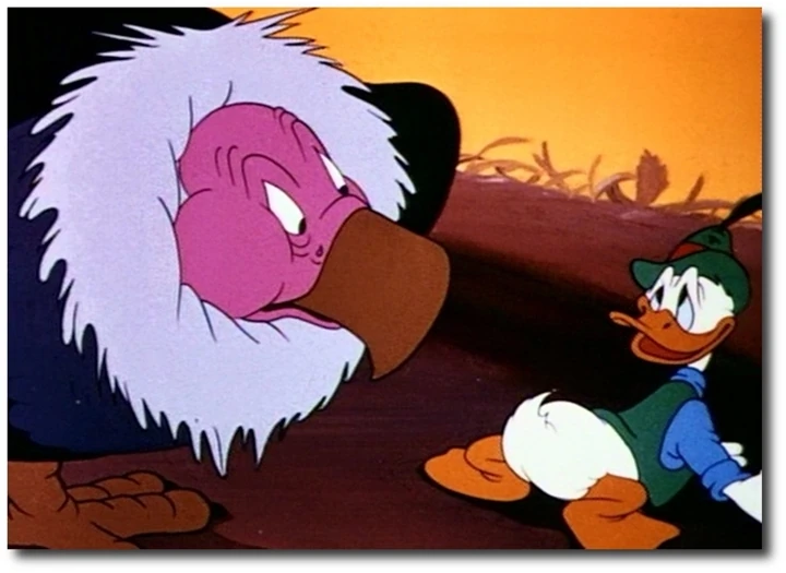 Mother Condor | Disney Wiki | Fandom