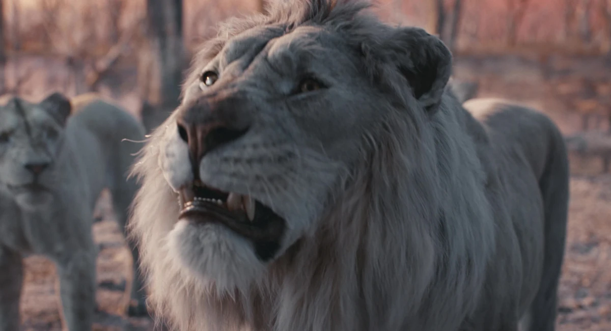 Azibo | Disney Wiki | Fandom