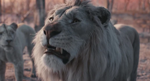 Azibo | Disney Wiki | Fandom