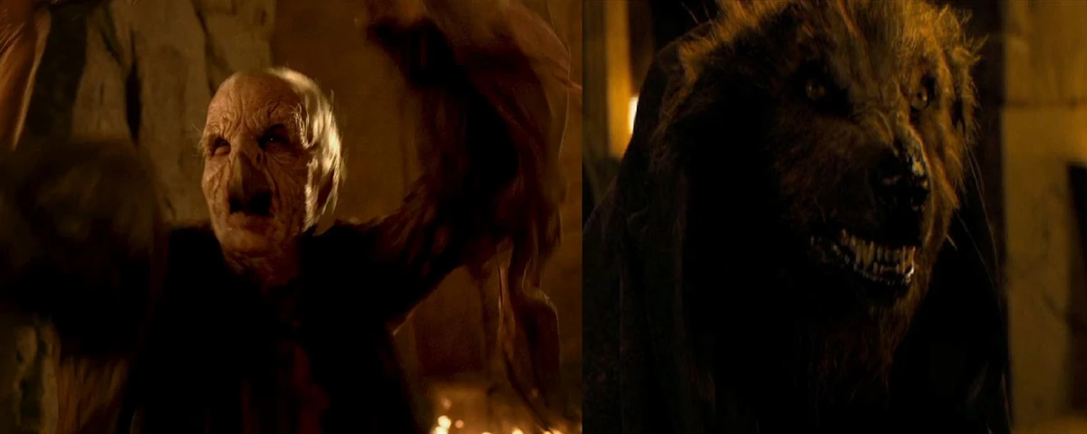 Hag and Werewolf | Disney Wiki | Fandom