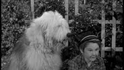 Moochie Daniels | Disney Wiki | Fandom