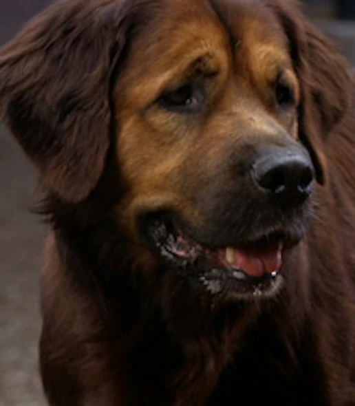 Riley | Disney Wiki | Fandom